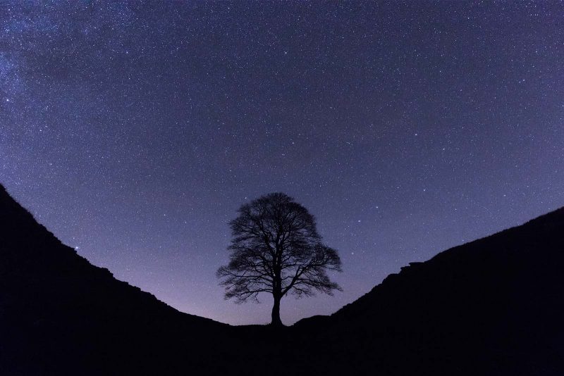 Star Photography Tutorials: The Complete Guide - Nature TTL