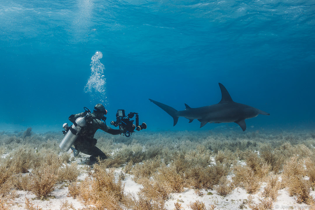 Underwater Photography: Learn How to Take Great Photos