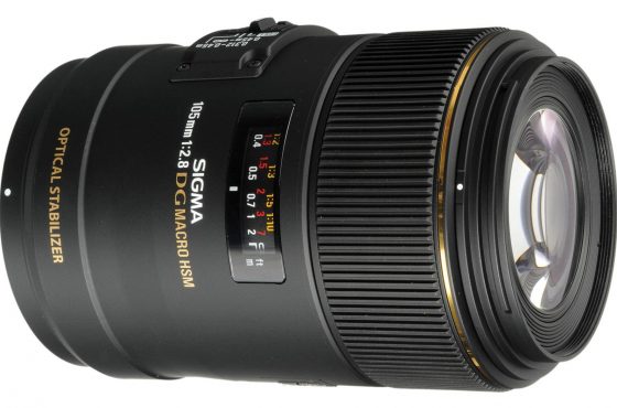 What's the Best Macro Photography Lens? | Nature TTL