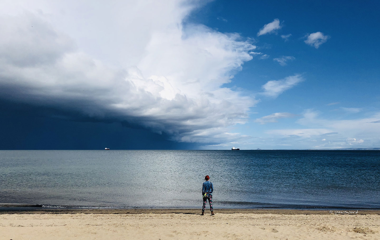 Weekly Photography Assignment: Wildlife - Nature TTL