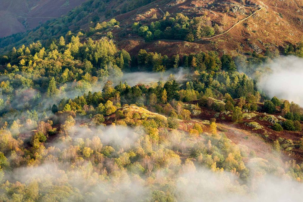 Autumn Photography Tips: Getting Creative - Nature TTL