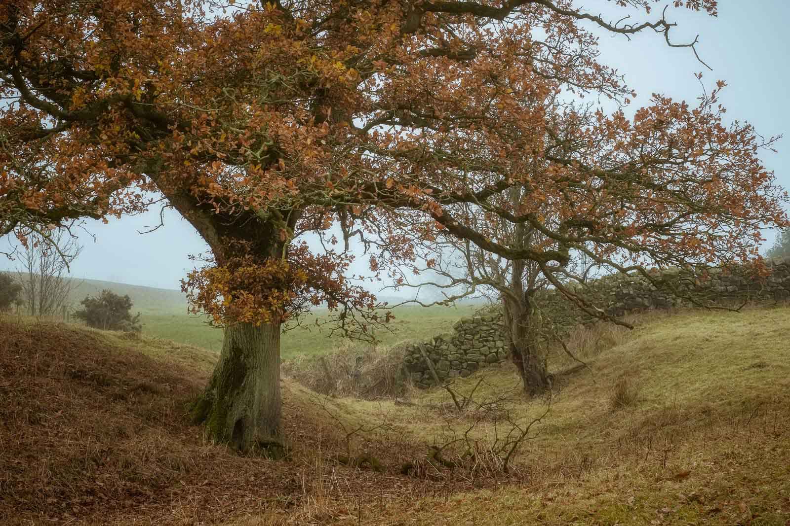 6 Ways to Take Better Autumn Landscape Photos - Nature TTL