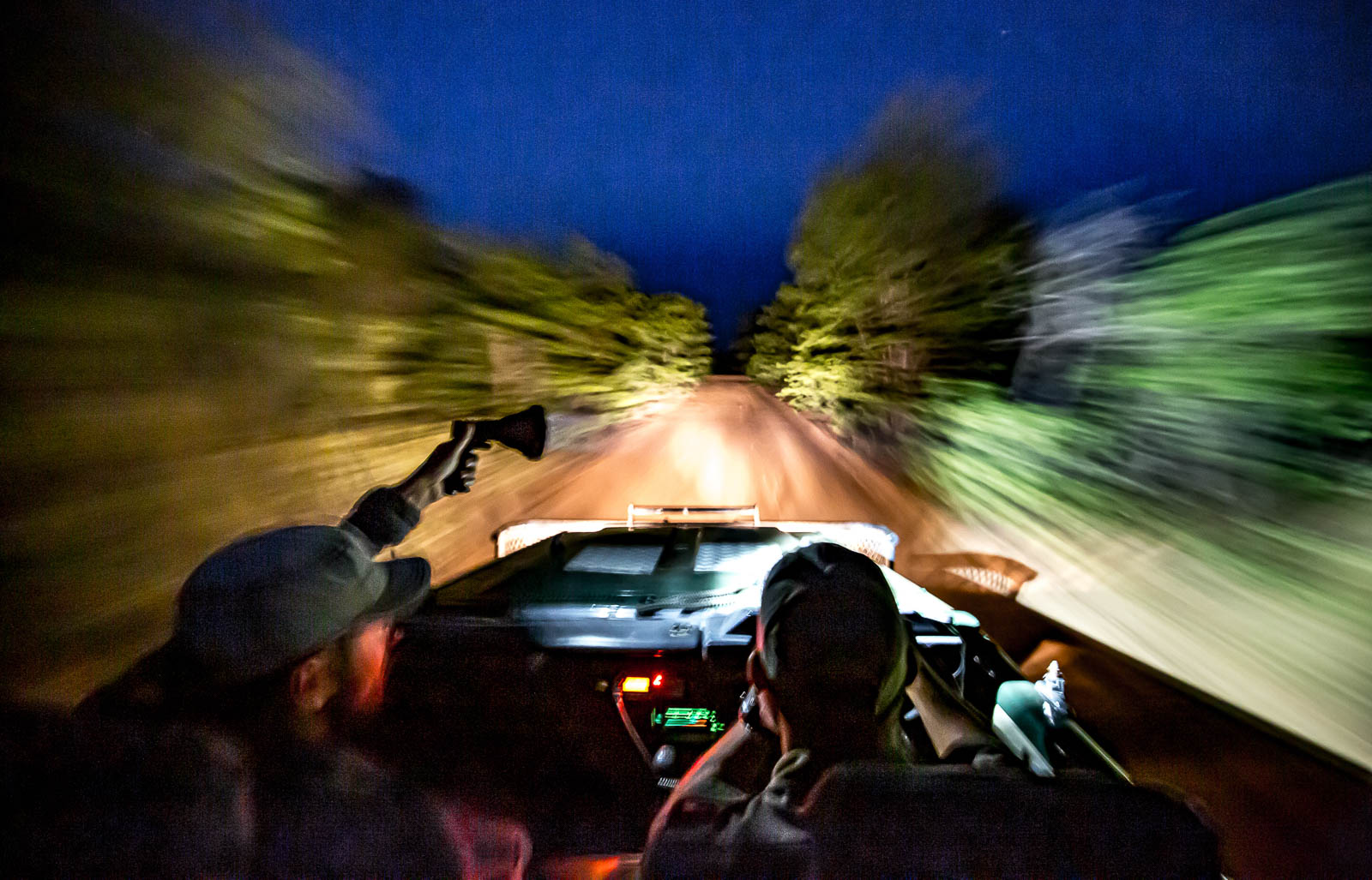 Tips to Photograph Wildlife on a Night Safari in Africa - Nature TTL