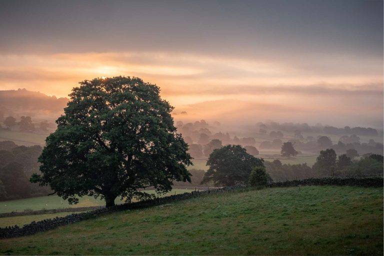 How to Use Mist to Improve Your Landscape Photos - Nature TTL