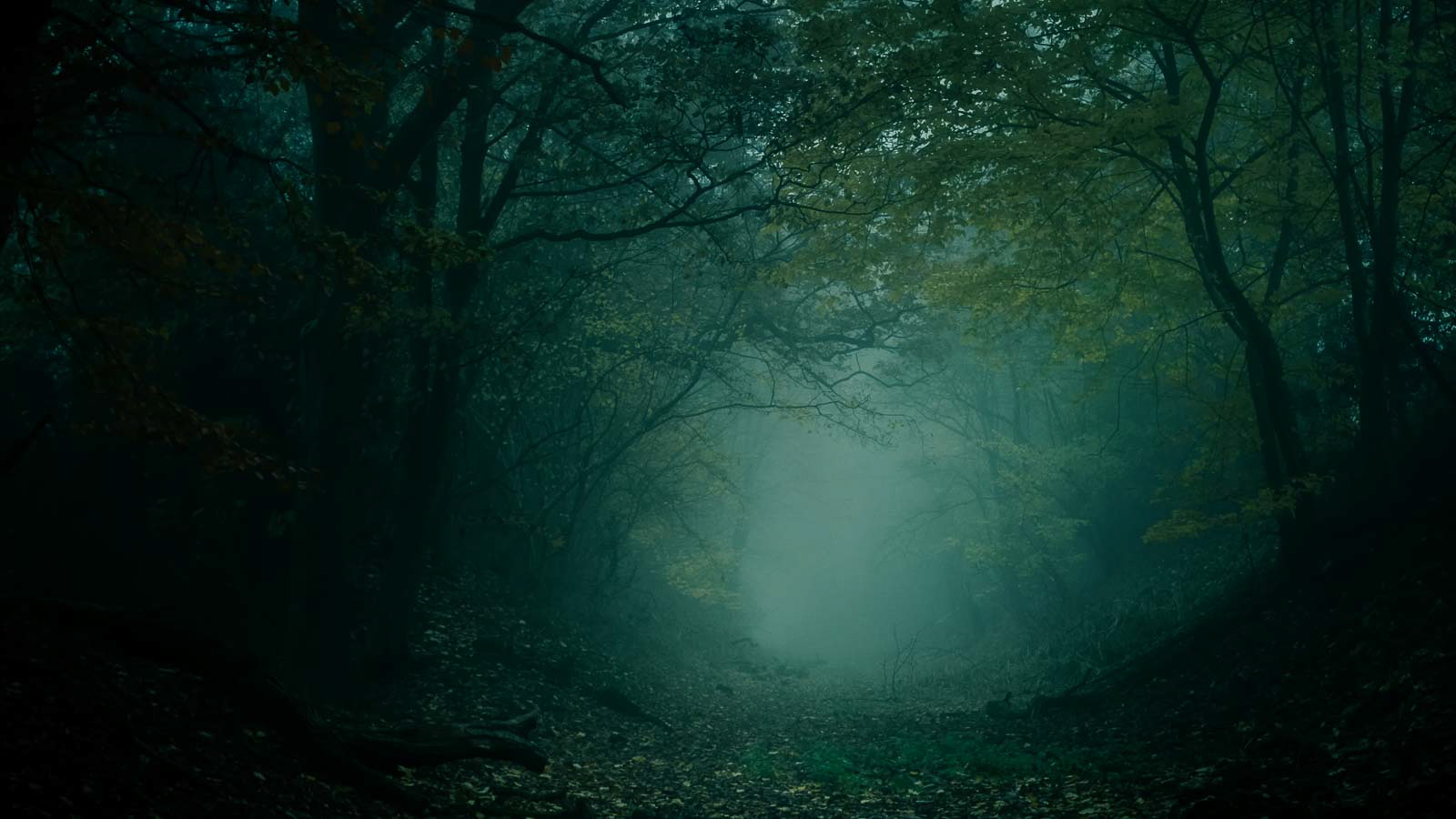 How to Use Mist to Improve Your Landscape Photos | Nature TTL