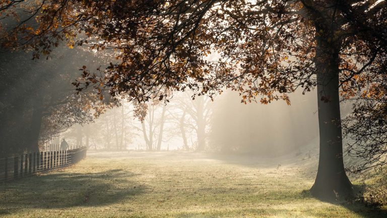 How to Use Mist to Improve Your Landscape Photos - Nature TTL