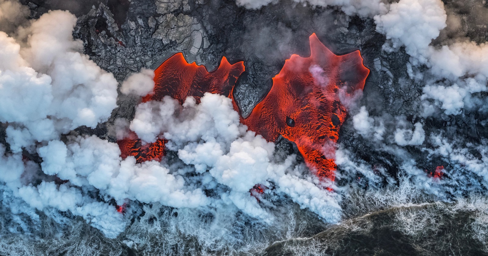European Wildlife Photographer of the Year 2019 Winners Announced ...