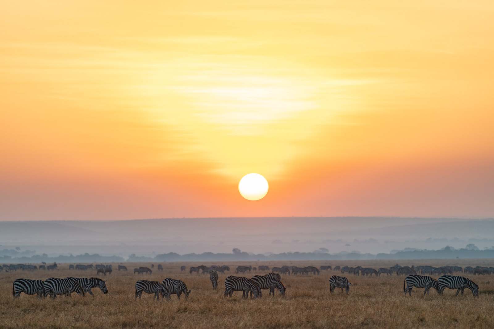 How to Photograph the Great Migration in Africa - Nature TTL
