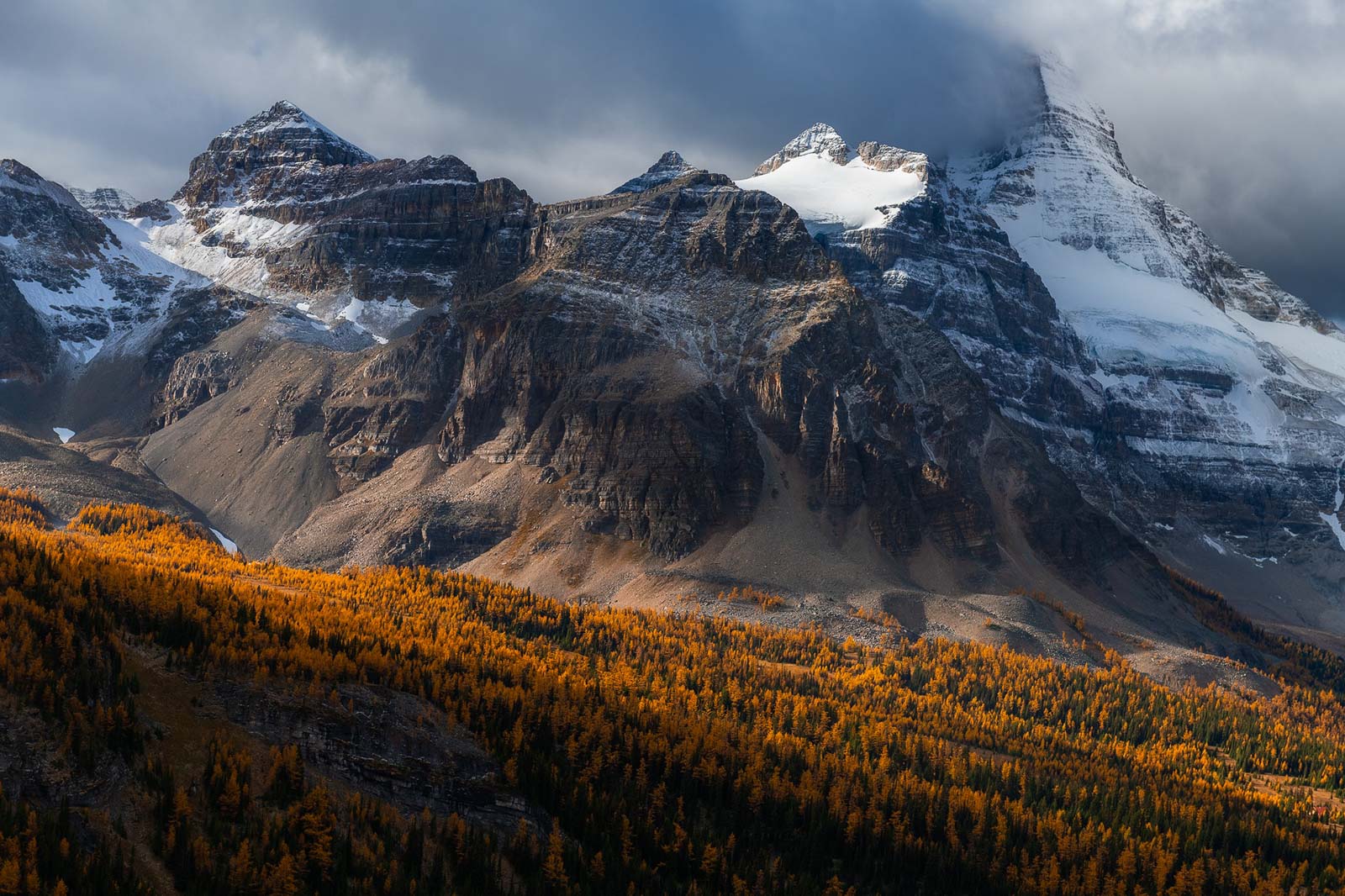 How to Find and Use Light in Landscape Photography | Nature TTL