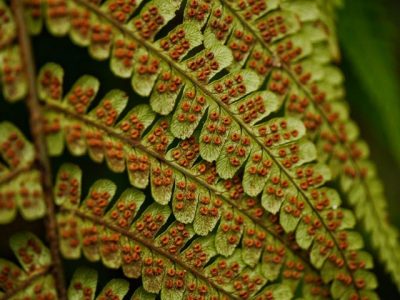 Weekly Photography Assignment: The Night Sky - Nature TTL