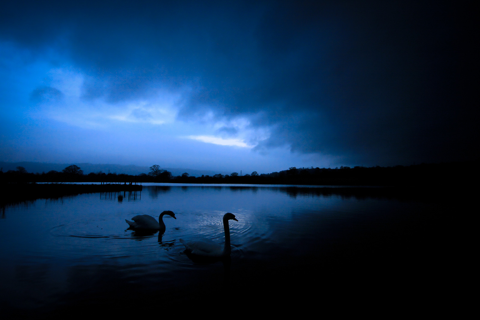 How to Photograph Swans - Nature TTL
