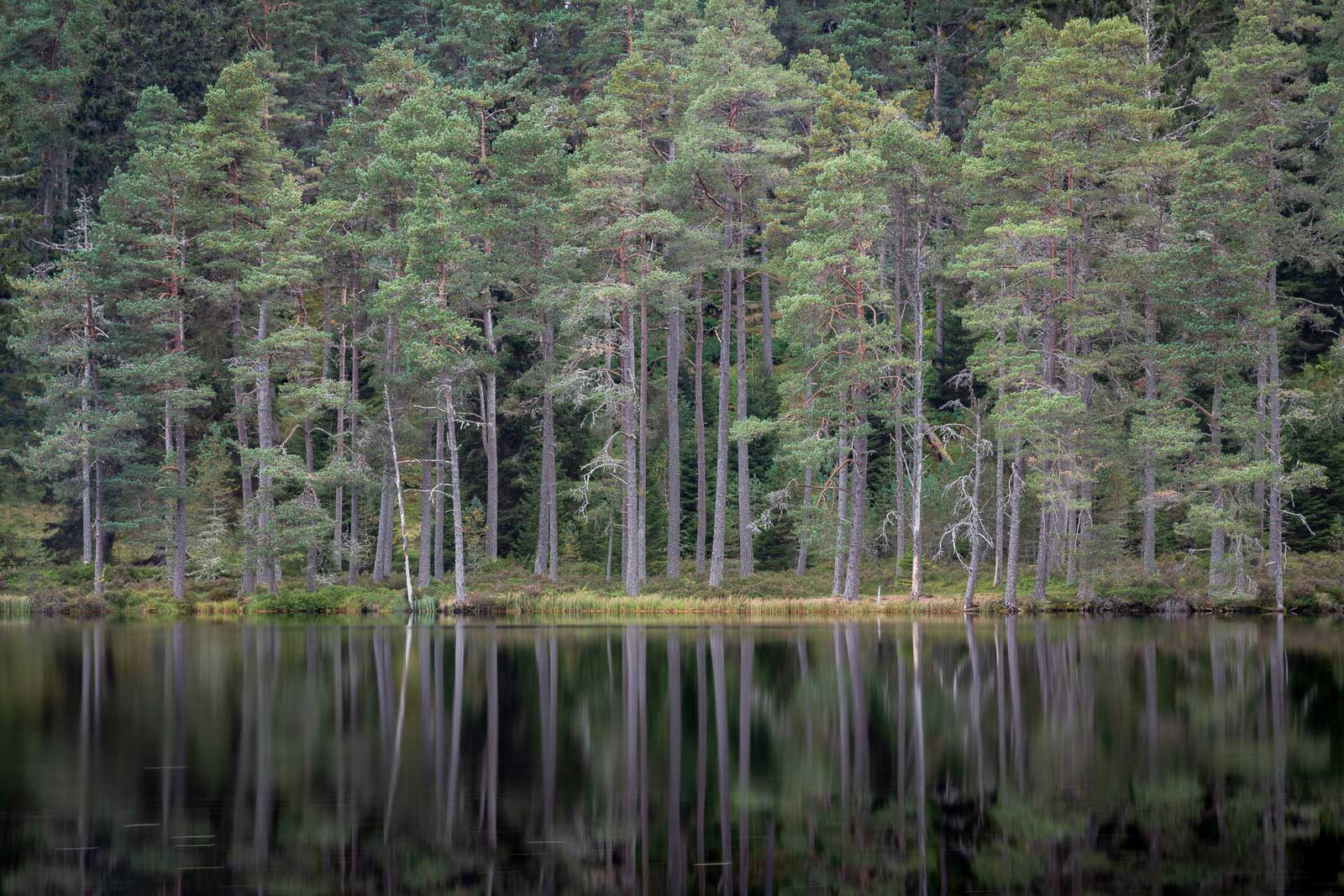 12 Best Places for Landscape Photography in Scotland - Nature TTL