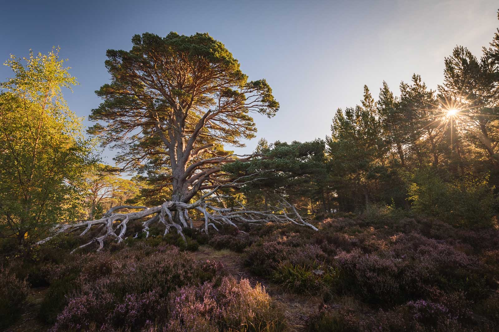 12 Best Places for Landscape Photography in Scotland - Nature TTL