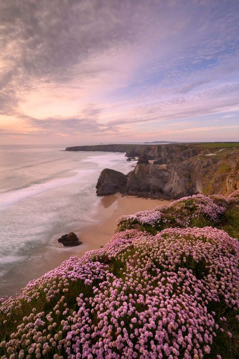 Where to Focus in a Landscape Photo - Nature TTL