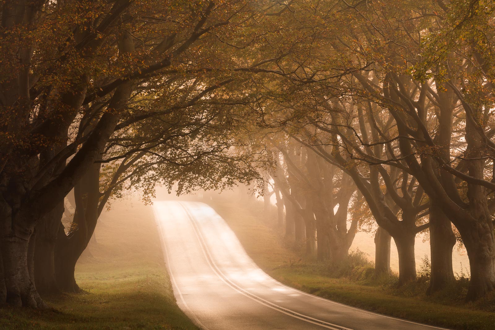 10 Best Landscape Photography Locations in Dorset, UK | Nature TTL