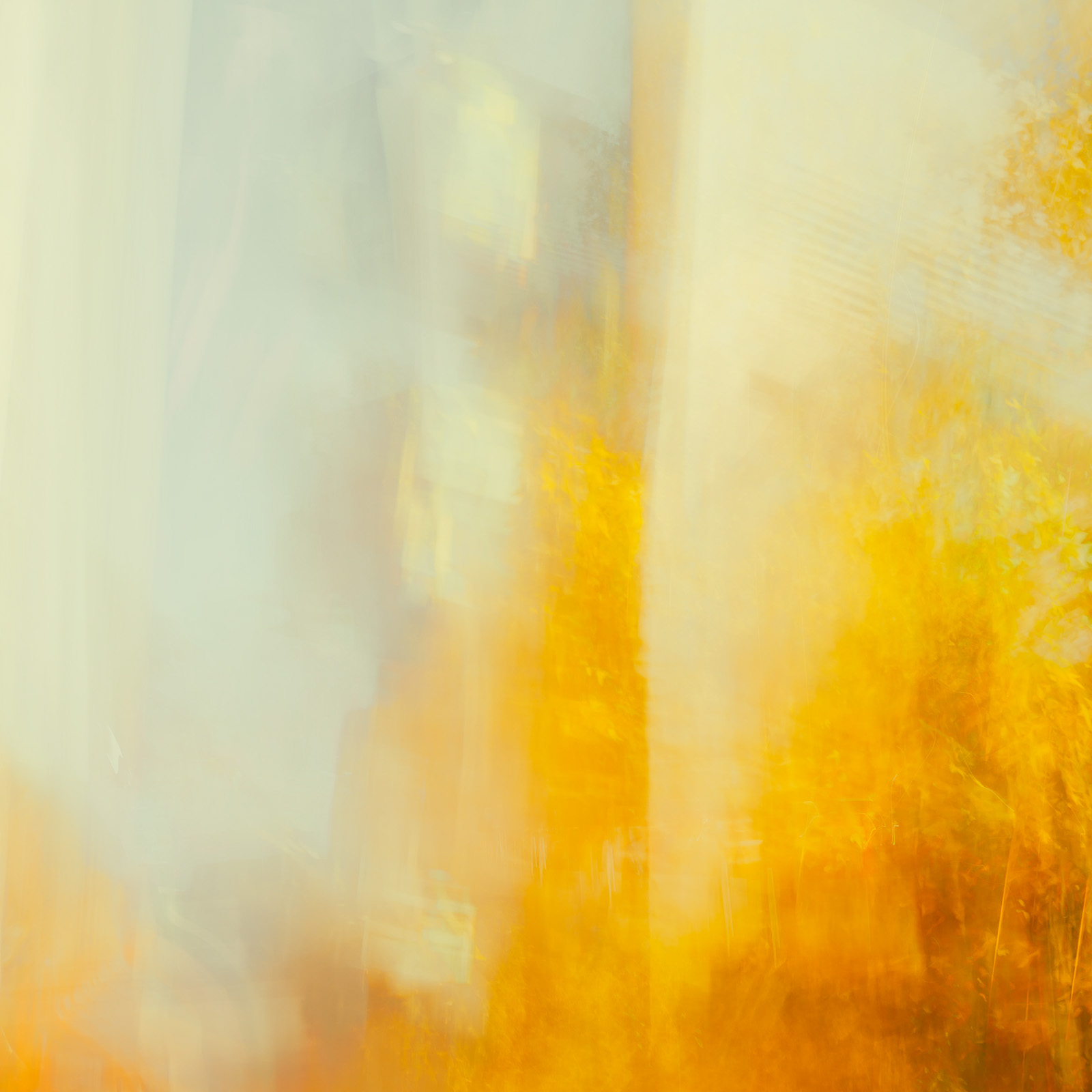 How to Make Your Landscape Photos Look Like Paintings | Nature TTL