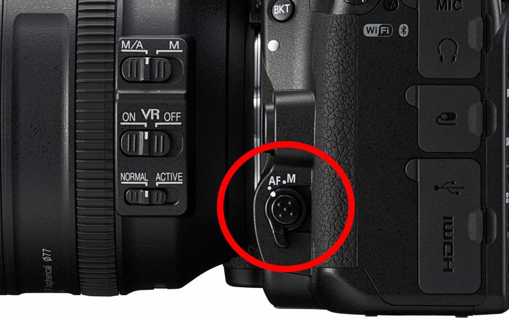 Back Button Focus: When and Why to Use It - Nature TTL