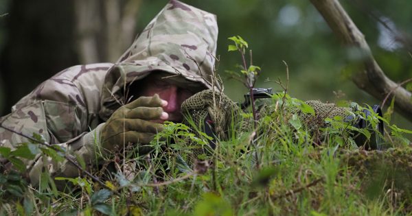 6 Tips for Better Fieldcraft in Wildlife Photography - Nature TTL