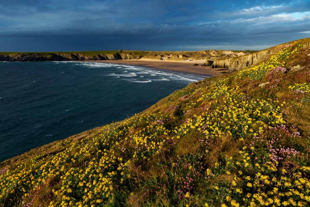 A Wildlife Photography Guide to Cornwall, UK - Nature TTL