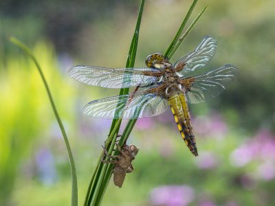 Winners of the Nature TTL Photographer of the Year 2020 Competition