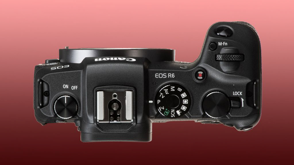 Rumoured Canon R6 Will Have 20MP Sensor and 4K Video - Nature TTL