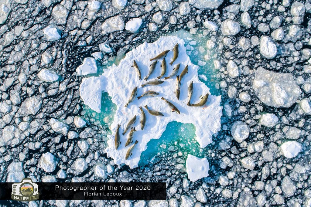 Florian Ledoux Interview: Nature TTL POTY 2020 Winner - Nature TTL