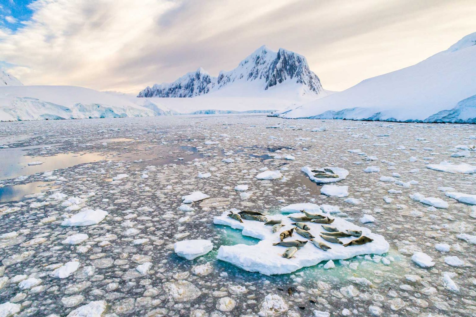 Florian Ledoux Interview: Nature TTL POTY 2020 Winner - Nature TTL