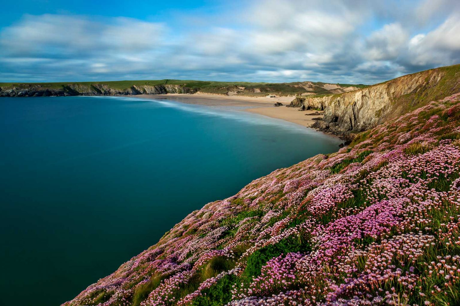 How to Photograph Spring Coastal Flowers in the UK | Nature TTL