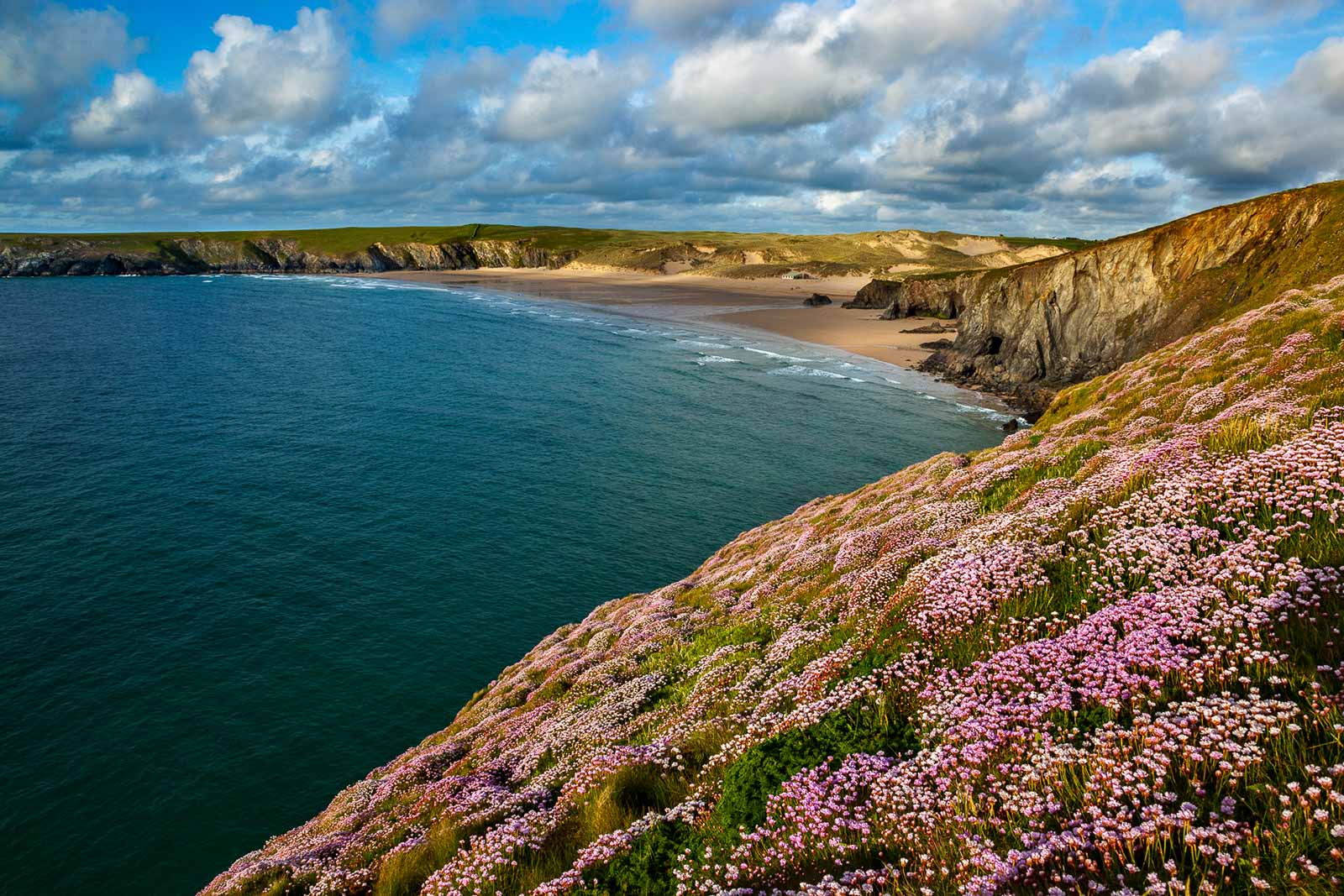 How to Photograph Spring Coastal Flowers in the UK | Nature TTL