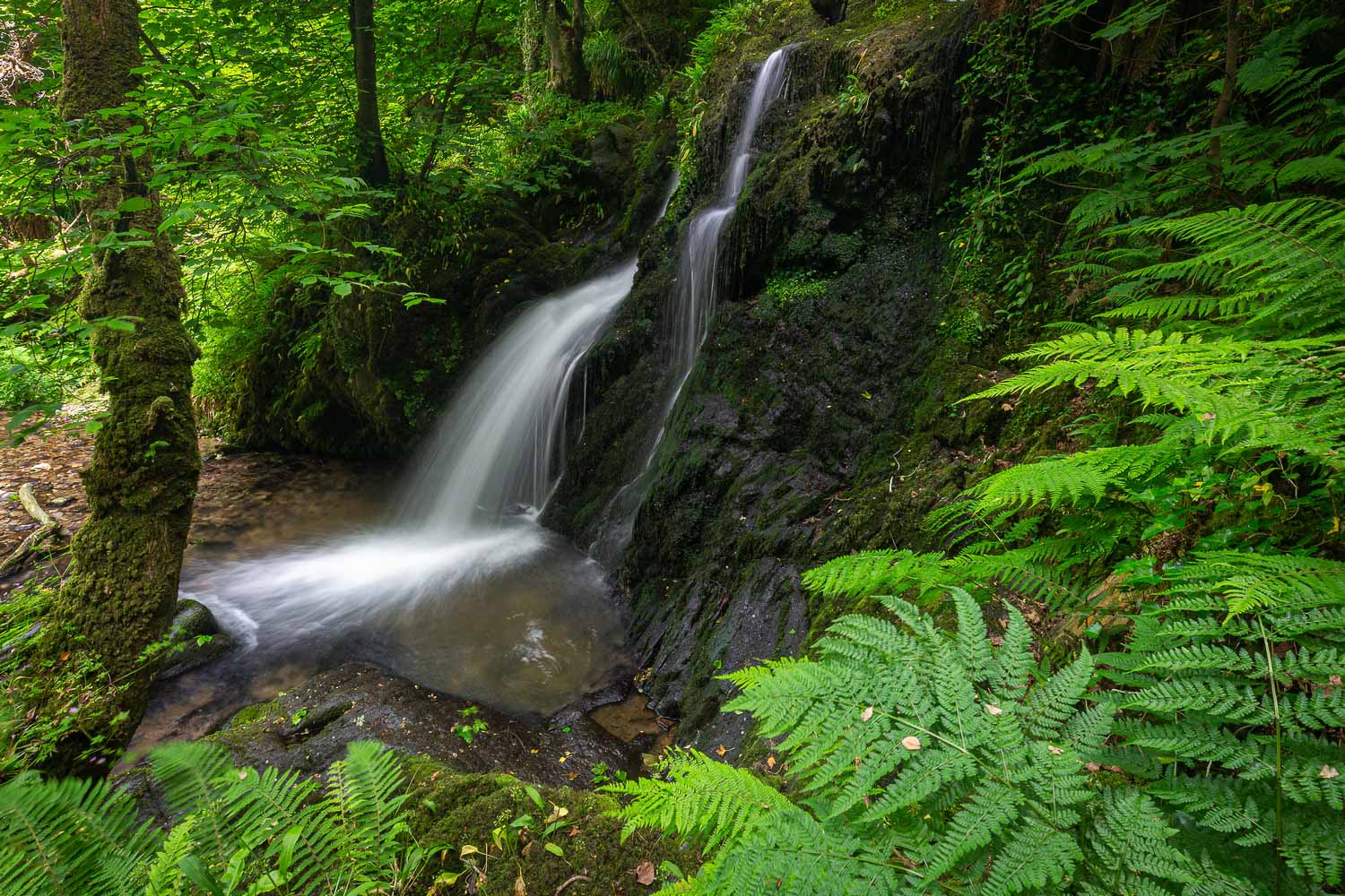 How to Photograph Waterfalls - Nature TTL