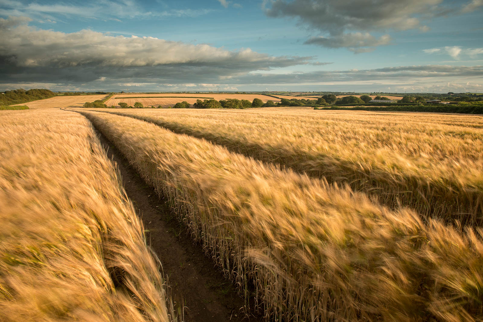 Inspiration for Summer Landscape Photography - Nature TTL