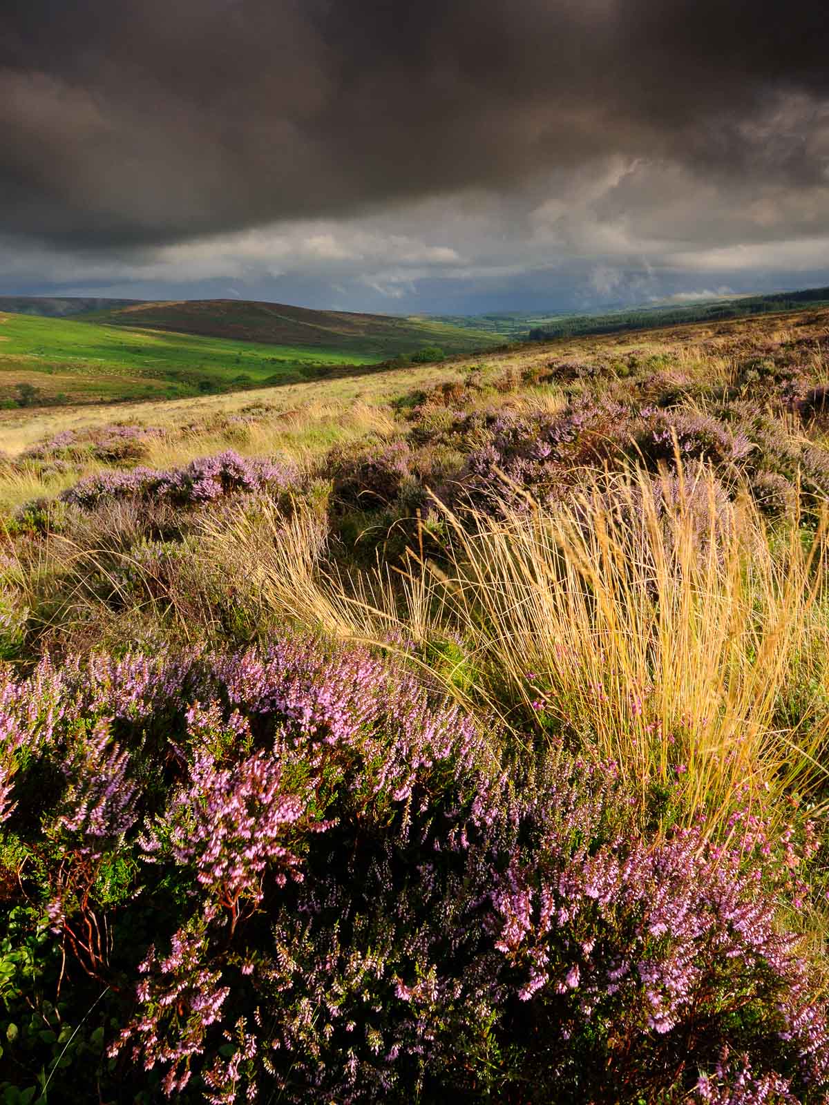 Inspiration for Summer Landscape Photography | Nature TTL