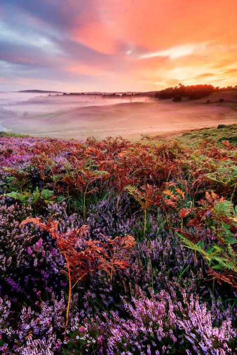 How to Print Photos: A Photographer's Guide - Nature TTL