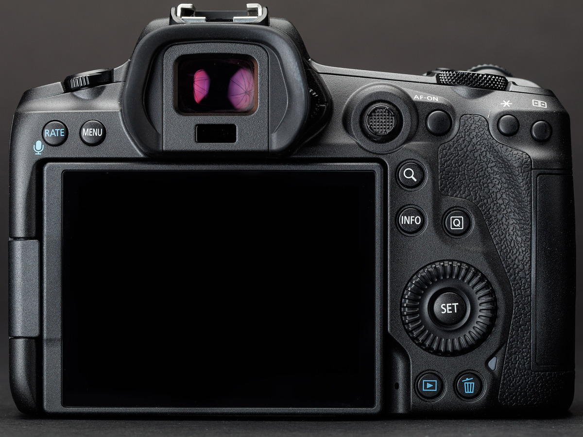 New EOS R5 Mirrorless Camera: 45MP, 20fps, 8K Video - Nature TTL