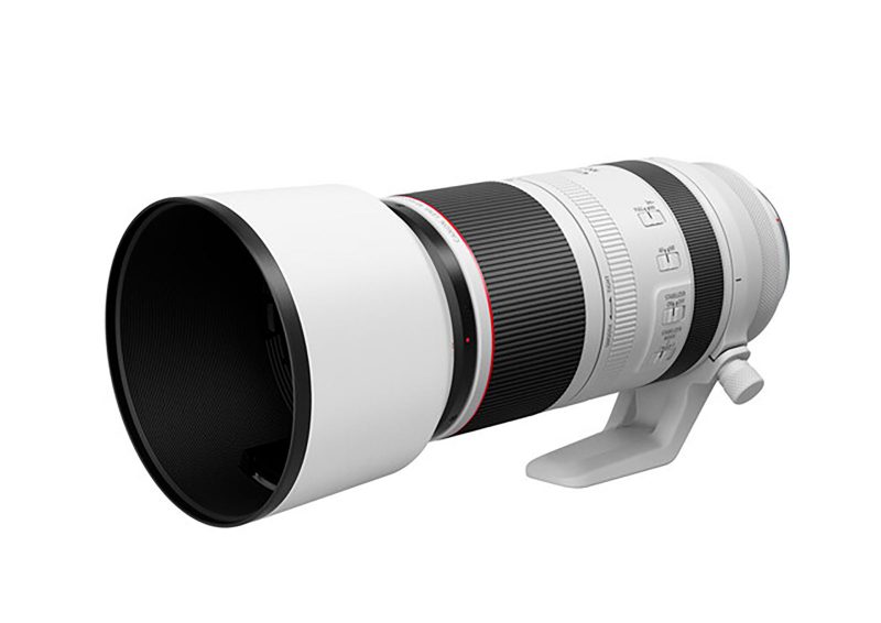 Canon Unveils RF 100-500mm f/4.5-7.1L Telephoto Lens - Nature TTL