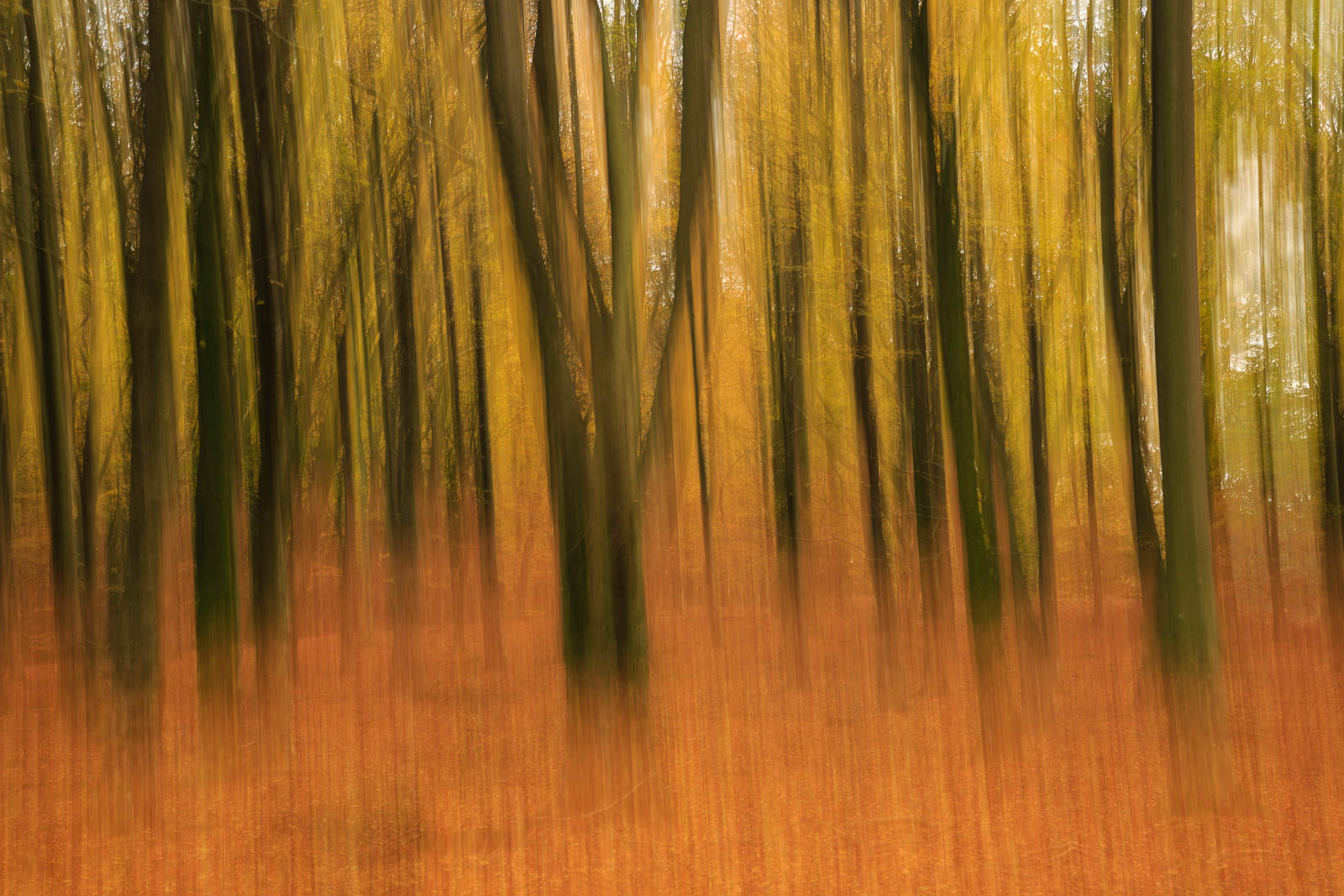 10 Landscape Photography Locations in the New Forest, UK - Nature TTL