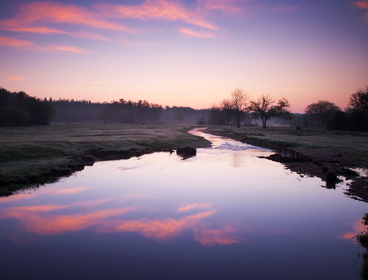 10 Landscape Photography Locations in the New Forest, UK | Nature TTL