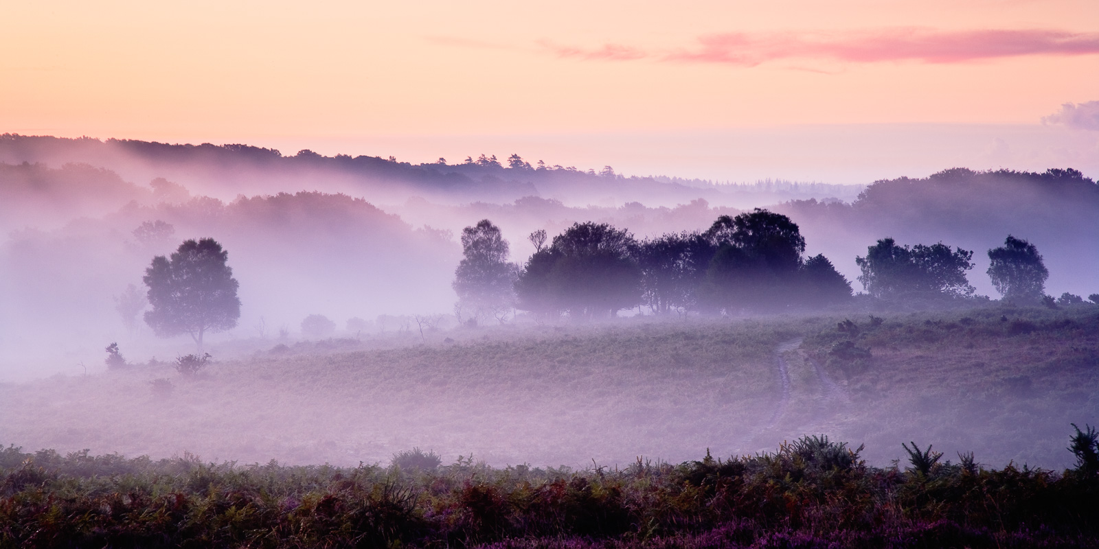 10 Landscape Photography Locations in the New Forest, UK | Nature TTL