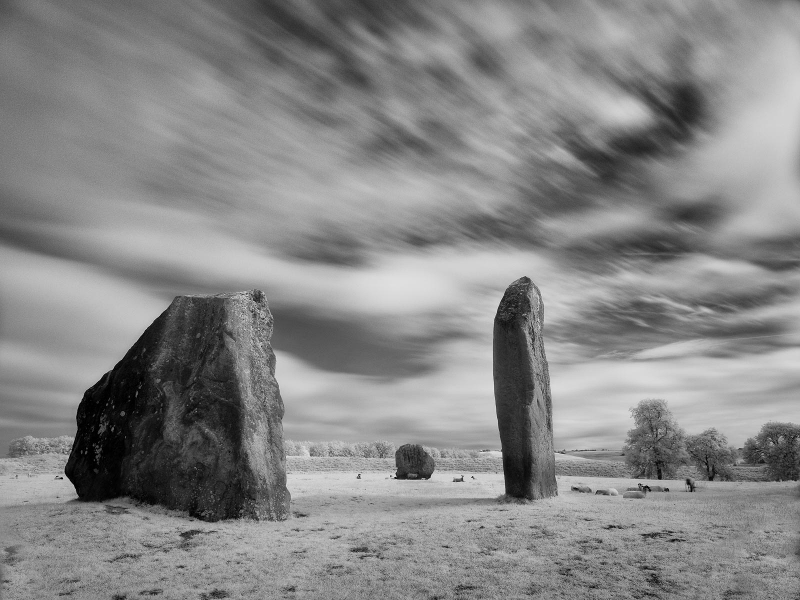 How to Print Photos: A Photographer's Guide - Nature TTL