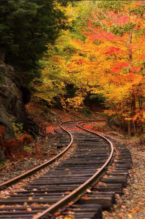 The Best Fall Locations for Landscape Photography in the USA | Nature TTL