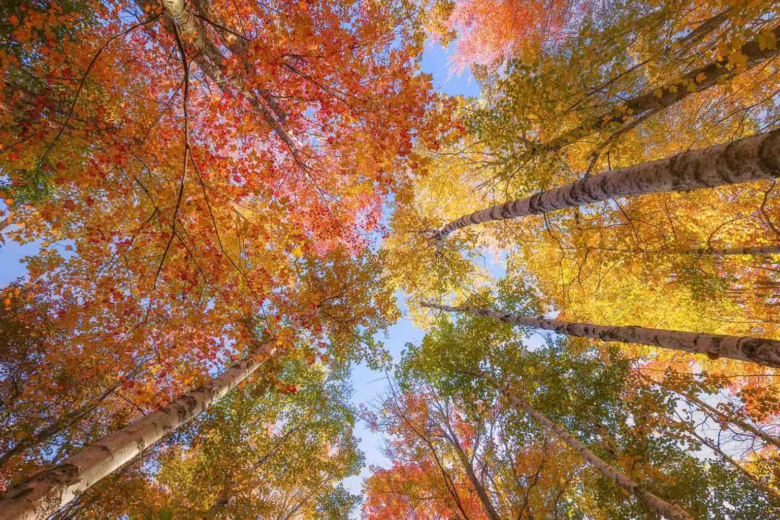 The Best Fall Locations for Landscape Photography in the USA | Nature TTL