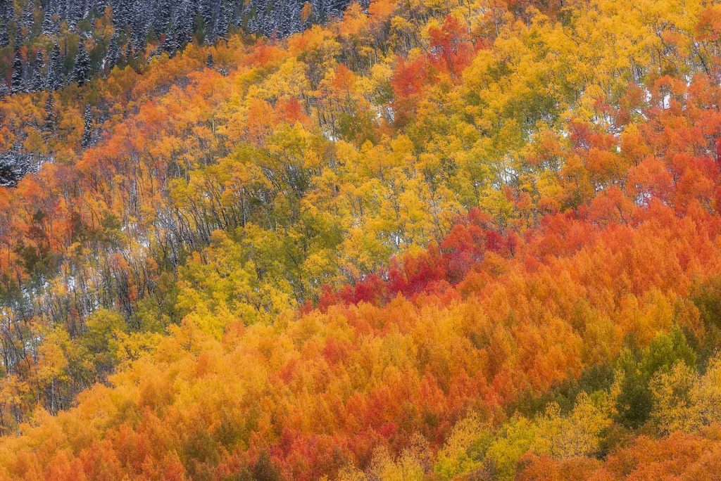 The Best Fall Locations for Landscape Photography in the USA - Nature TTL