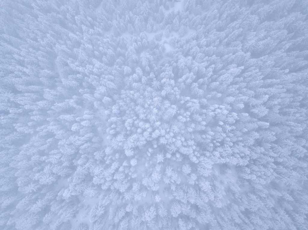 How to Take Aerial Photos: Drones, Helicopters and Planes - Nature TTL