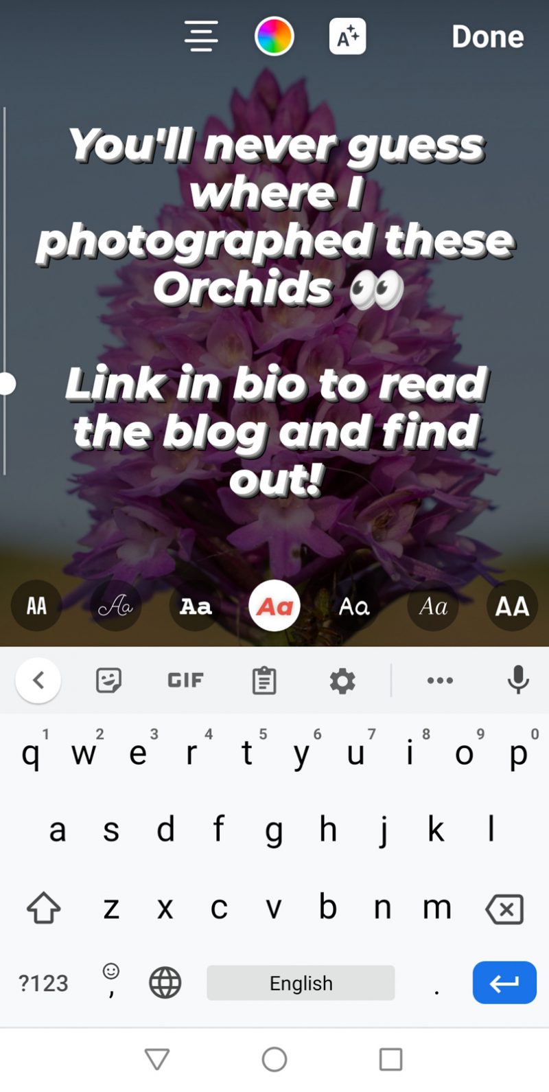 How to Use Instagram Stories to Promote Your Photos - Nature TTL