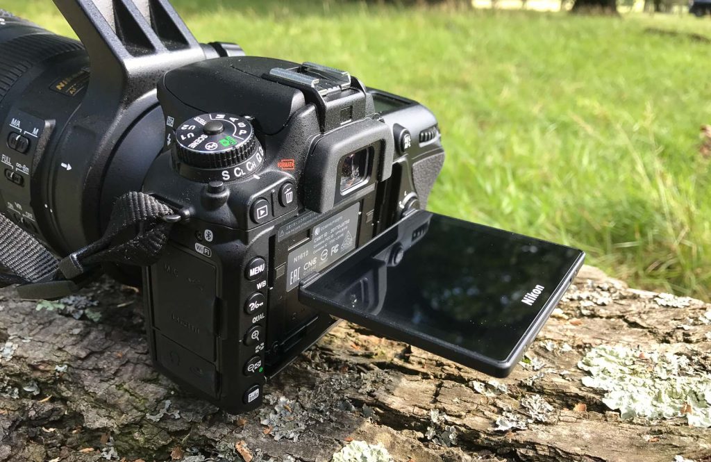 Nikon D7500 Review: A Realistic Field Test for Wildlife Photographers ...