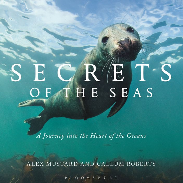 Book Review: 'Secrets of the Seas' by Alex Mustard & Callum Roberts ...