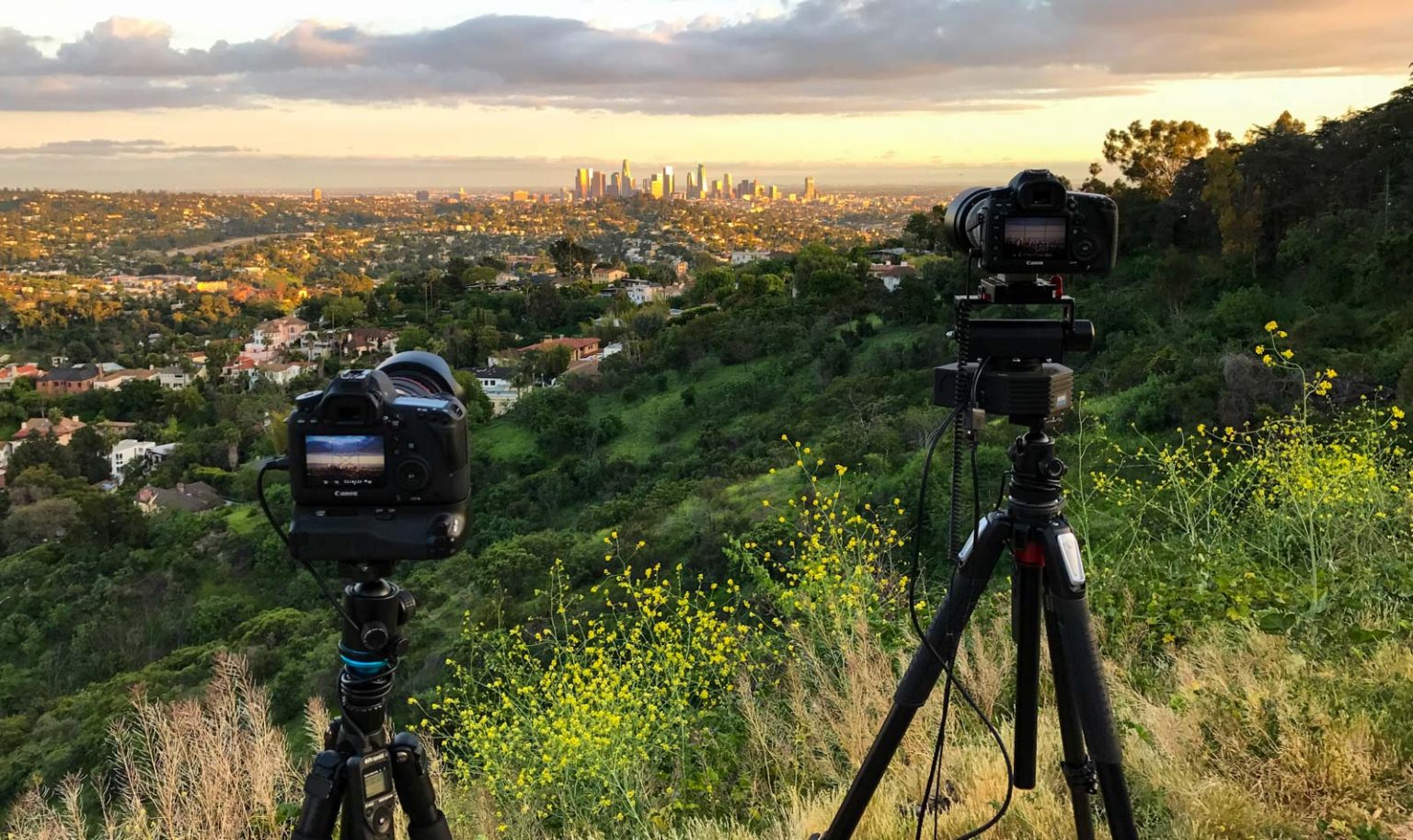 How to Make a Day to Night Time-lapse Video - Nature TTL