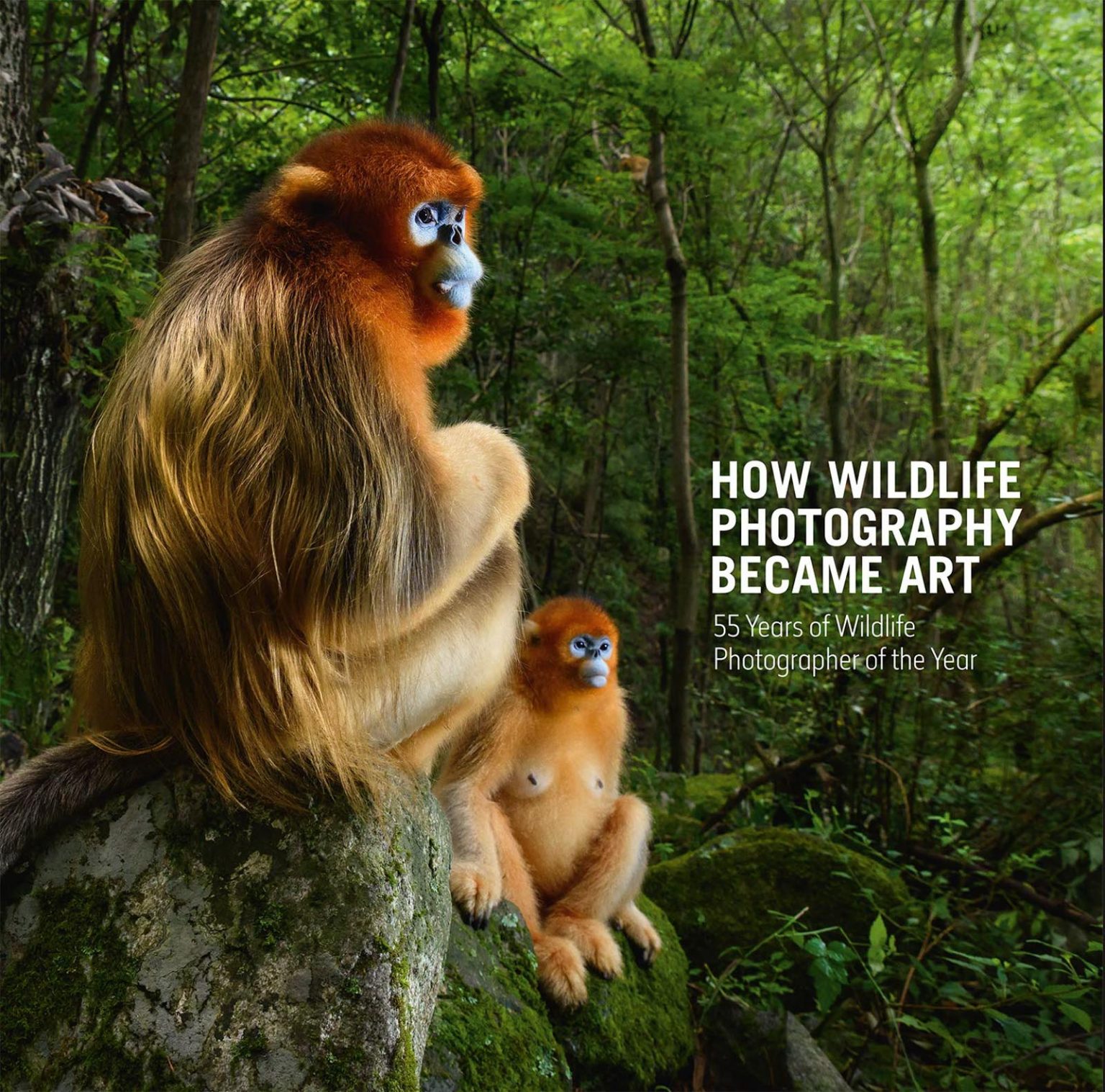 Nature Photography Books for Photographers this Christmas | Nature TTL