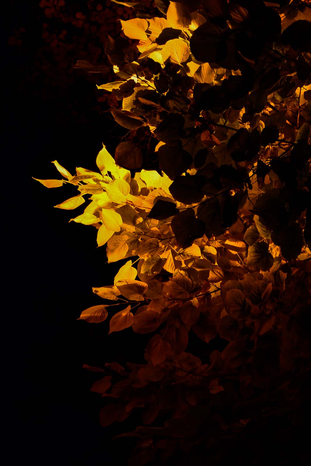 Weekly Photography Assignment: By the Sea - Nature TTL