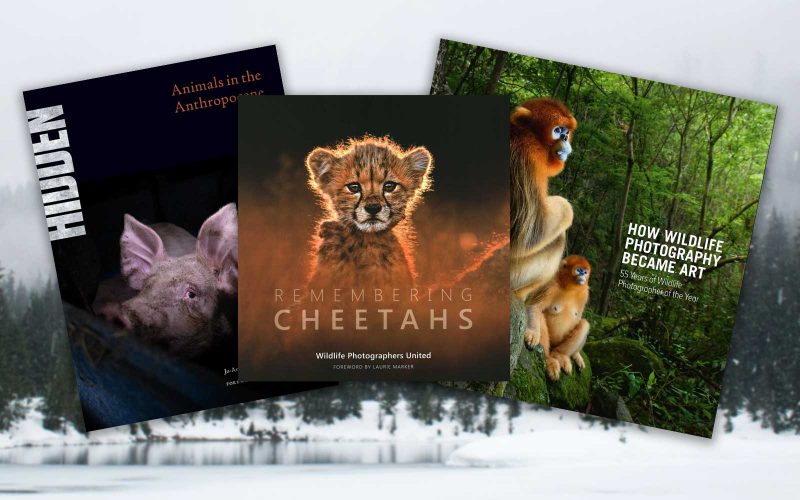 Nature Photography Books for Photographers this Christmas - Nature TTL